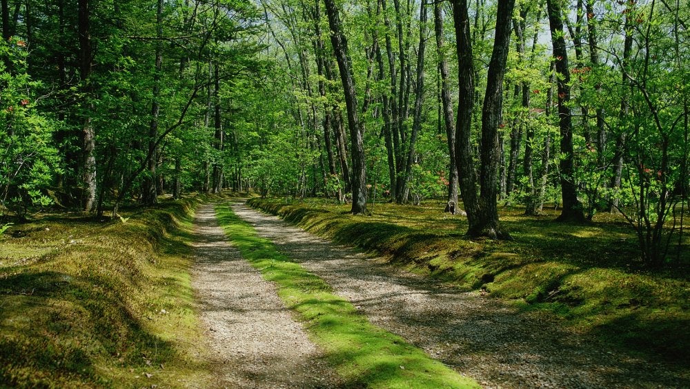 Rec Land Explained - 05/30/2024 - 15:21 | First South Farm Credit